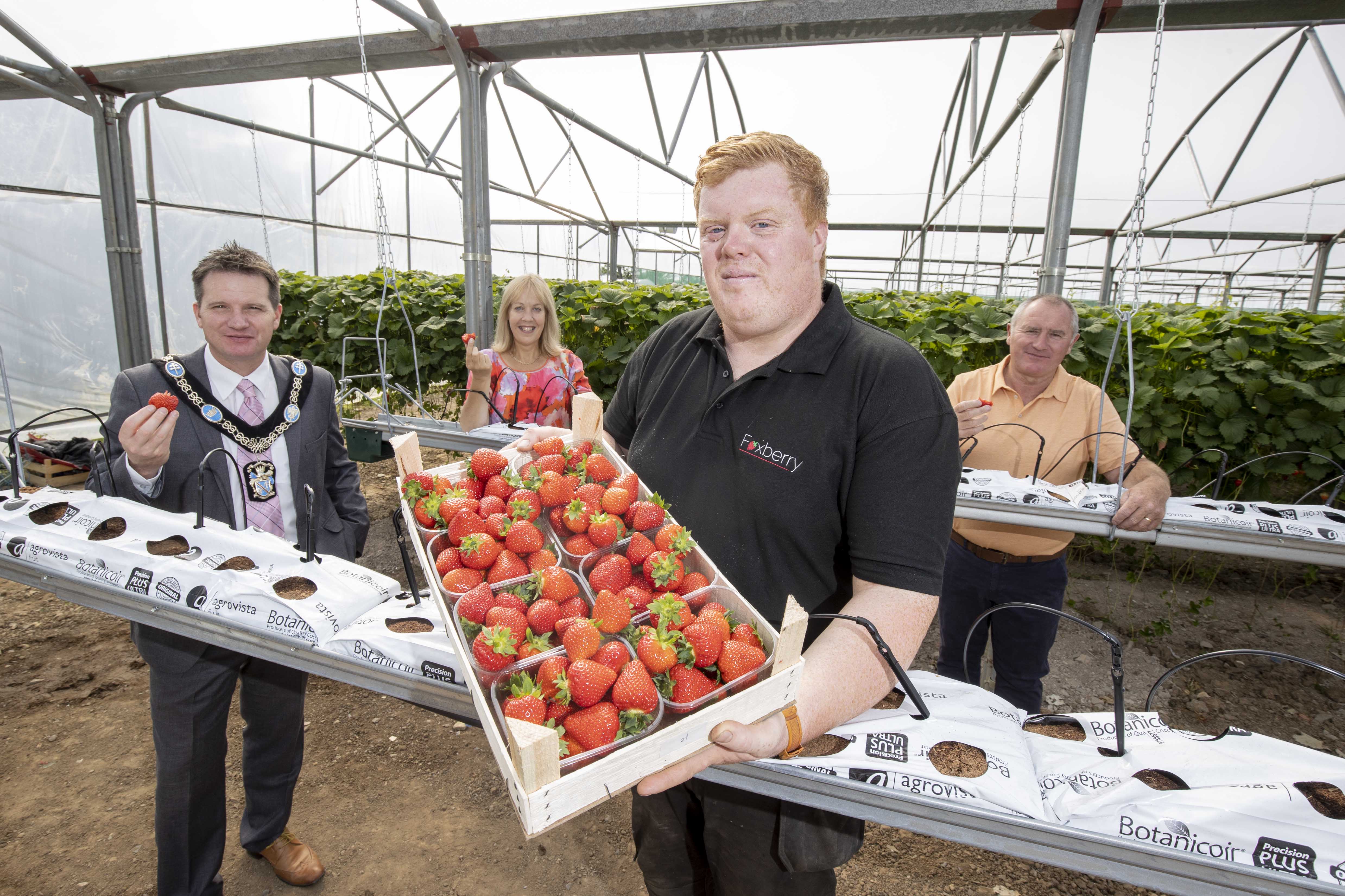 Applications Sought For Rural Business Grant Scheme – CLANRYE NEWS